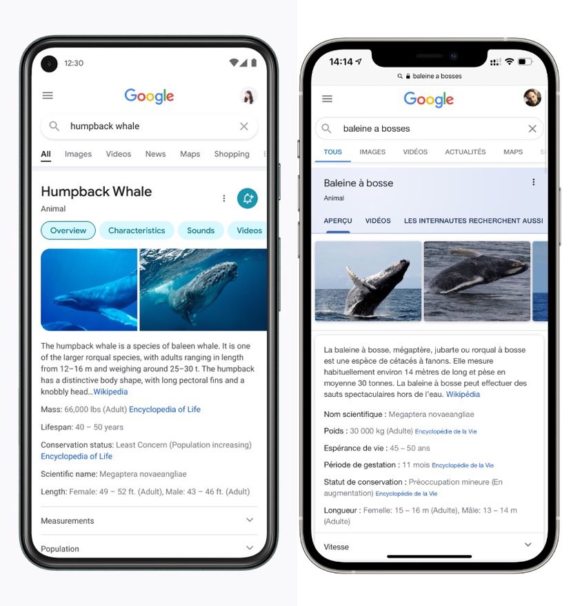 Google revoit l'interface de ses résultats de recherche sur iOS et ...